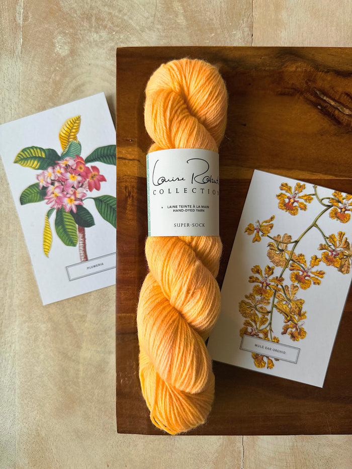 Everyone Socks | Knitting pattern and knitting kits – Les Laines ...